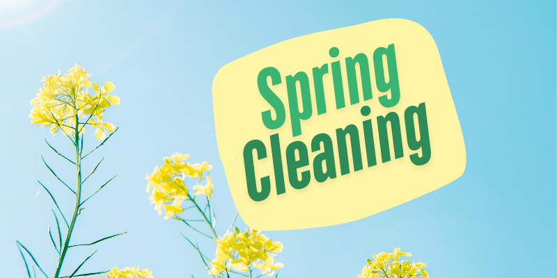 Spring Cleaning Steps and Tips for Naturally Repelling Ants – Momo's ...